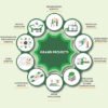 IHFC - Technology Innovation Hub of IIT Delhi